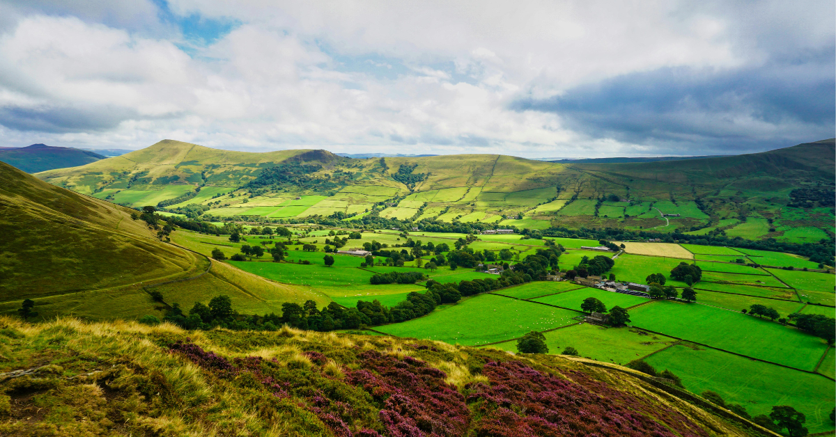 INFOSHEET: A letting agents guide to the Green Party's manifesto